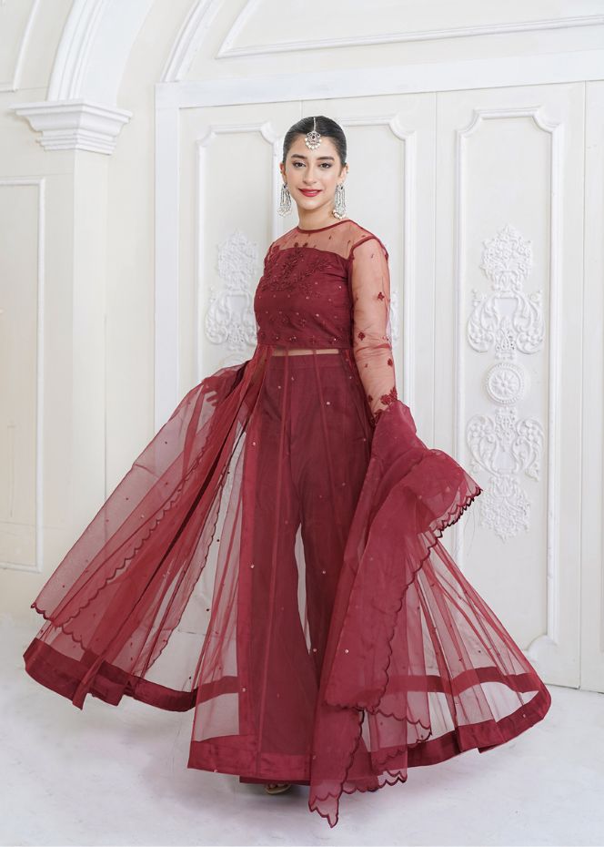 RINA Maroon Fancy Dress|| Perfect Blend of Refinement and Glamour ...